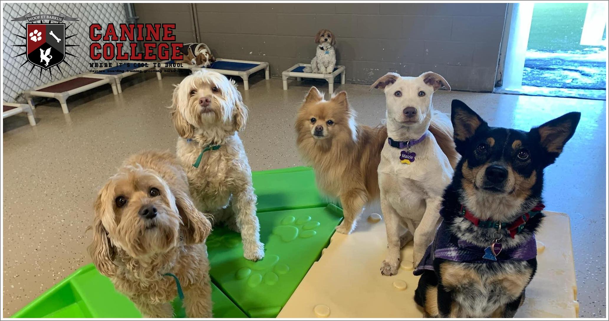 Student Care Specialist-Canine College-Farmington Hills, MI